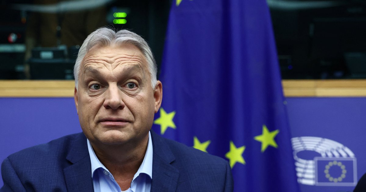 Investigative media and transparency watchdog targeted by Sovereignty ...