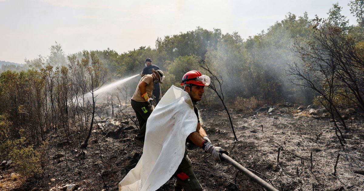 Wildfires lead to violations against journalists and free speech ...