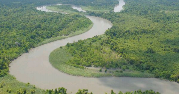 Advocacy groups and activists continue campaign against mining projects ...